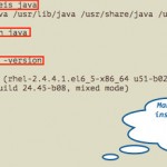 Debian Linux Install Eclipse Java / C / C++ IDE