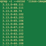 Boot Linux Grub Into Single User Mode