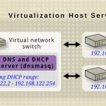 Linux and Unix dig Command Examples