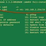 Linux ip Command Examples